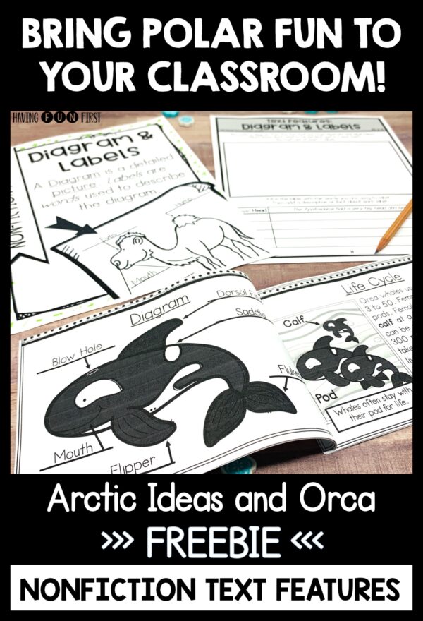 Free Nonfiction Text Features Worksheet - Having Fun First