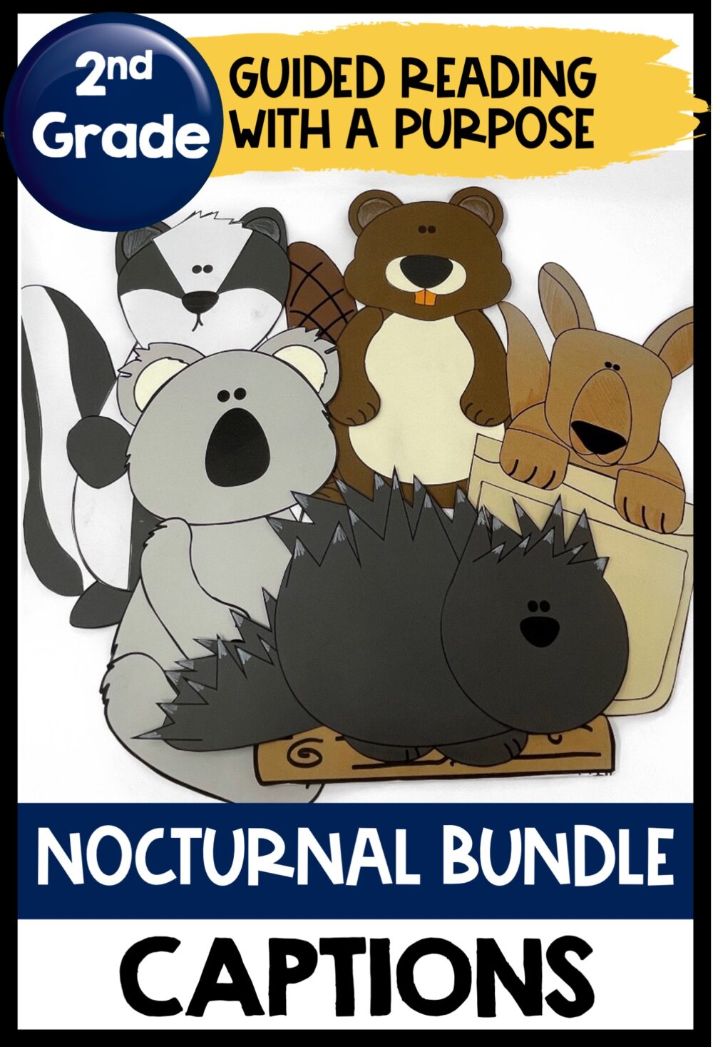 Nocturnal Animal Activities & Nonfiction Text Features