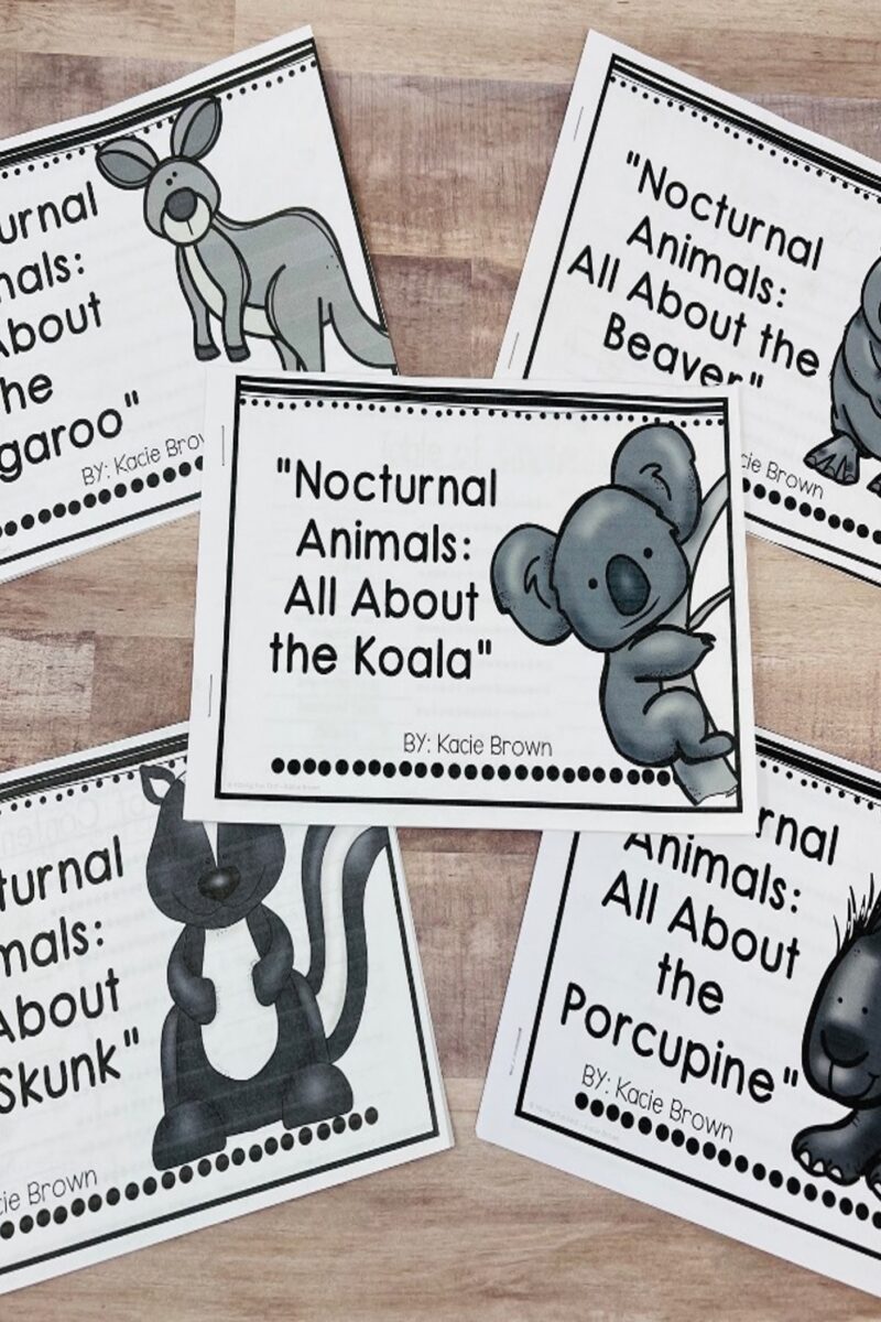 Nocturnal Animal Activities & Nonfiction Text Features