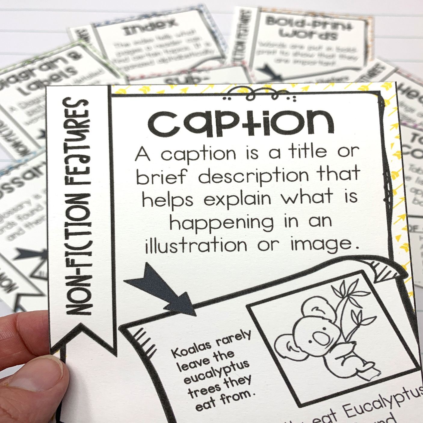 Nocturnal Animal Activities & Nonfiction Text Features