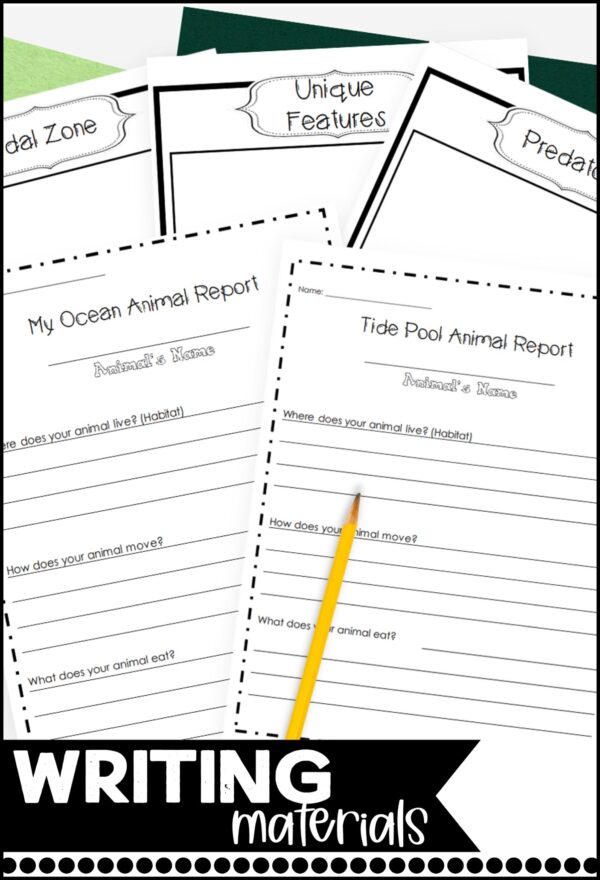 Resources for Planning a Beach Field Trip - Having Fun First