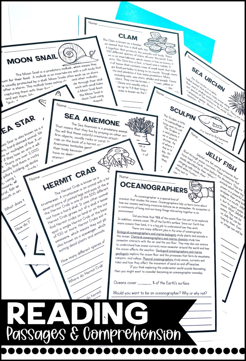 Resources for Planning a Beach Field Trip - Having Fun First