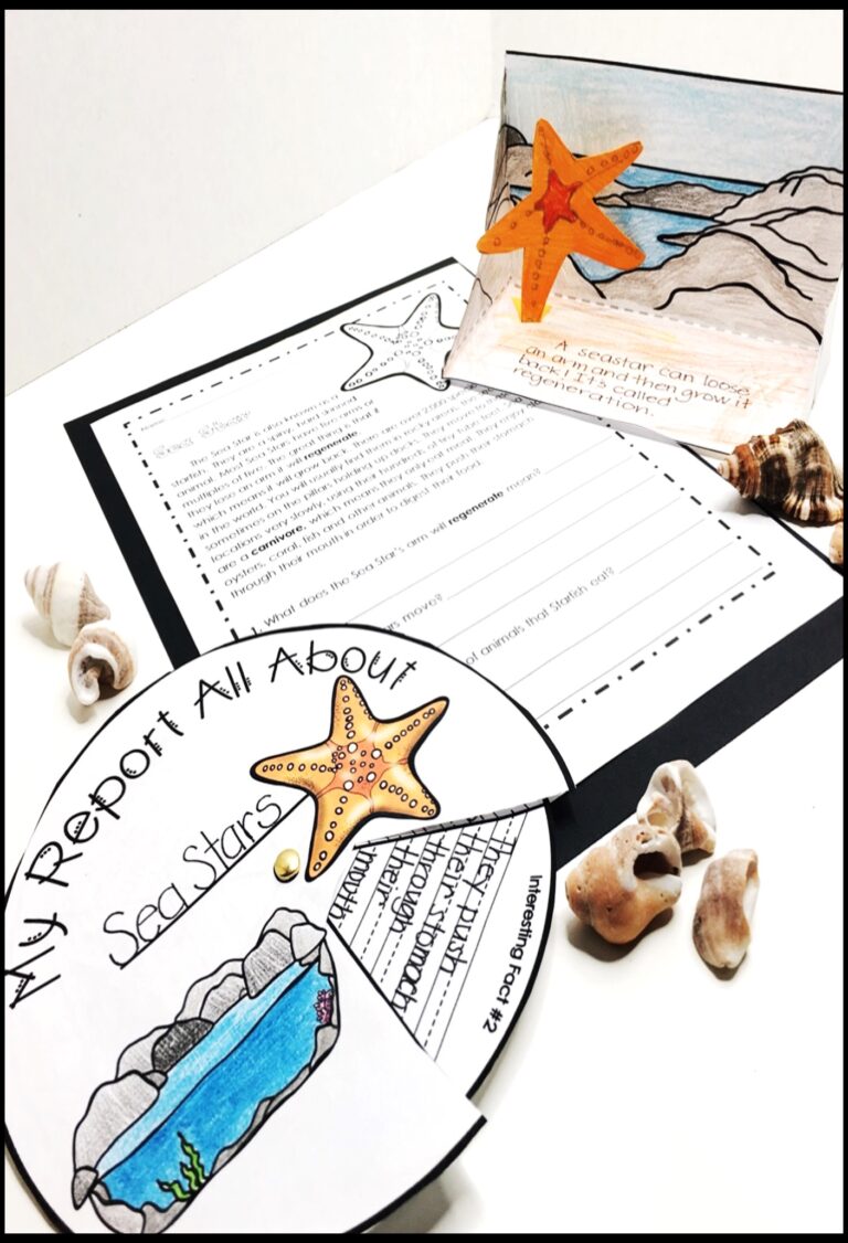 Resources for Planning a Beach Field Trip - Having Fun First