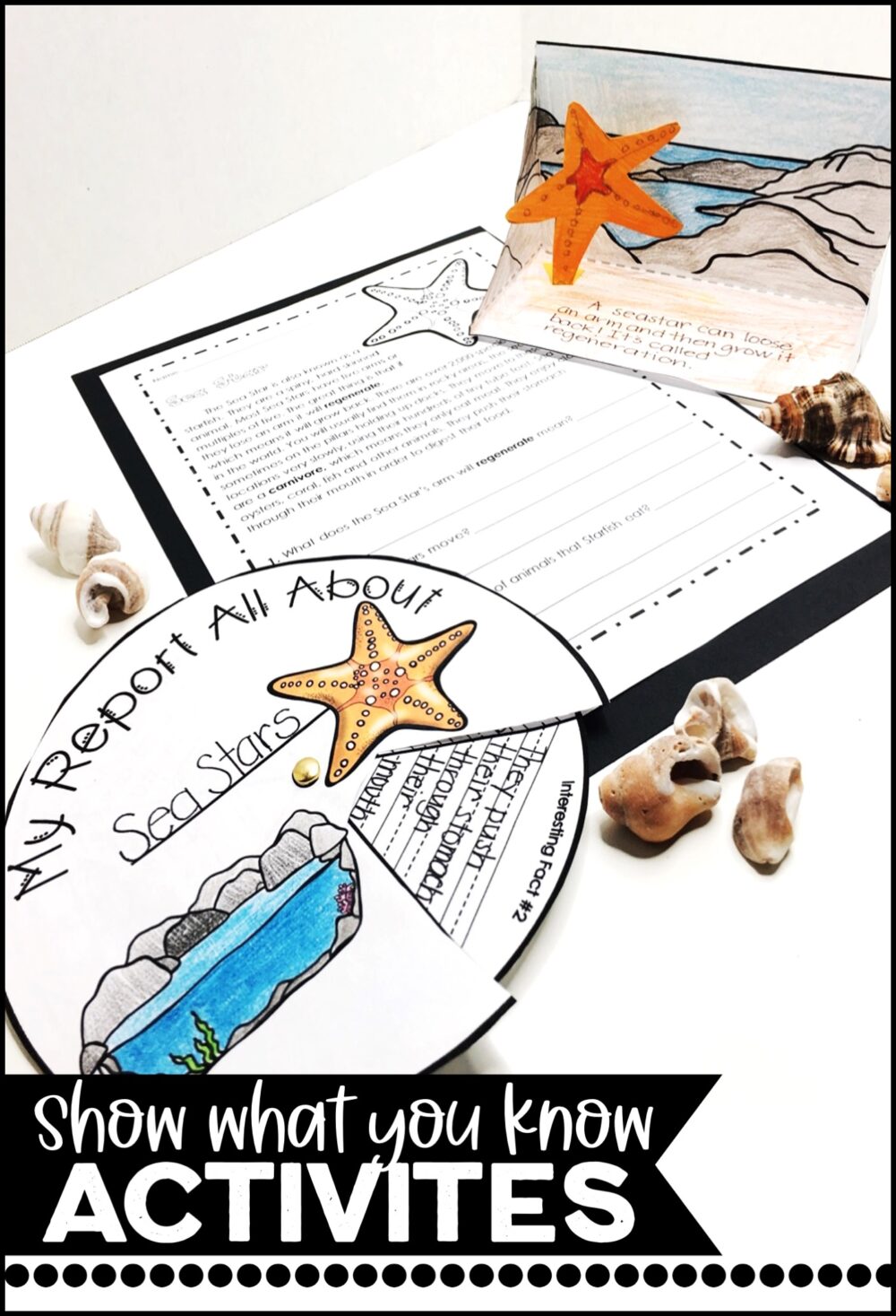 Resources for Planning a Beach Field Trip - Having Fun First