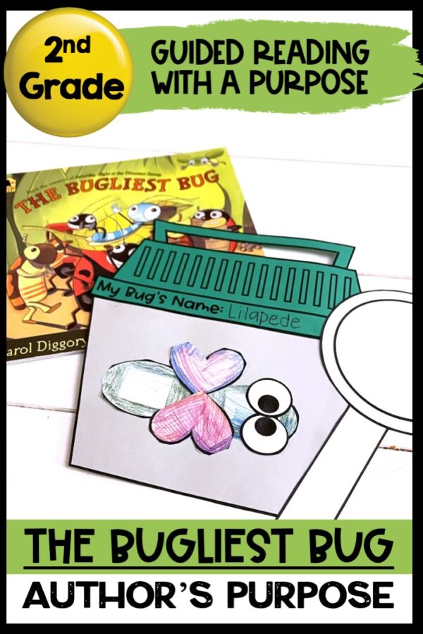 Insects Reading Comprehension - Having Fun First