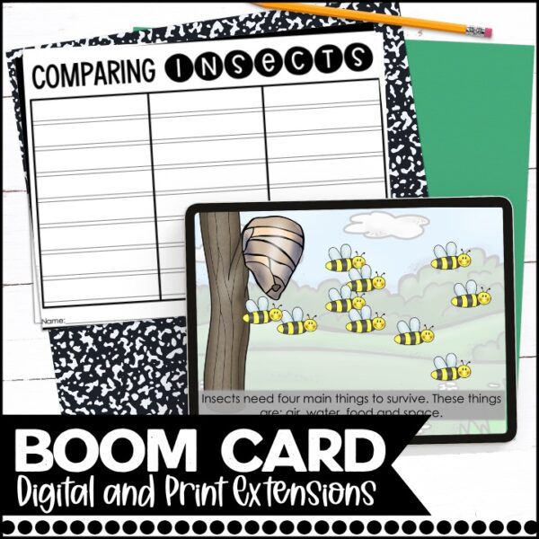 Insects Reading Comprehension - Having Fun First