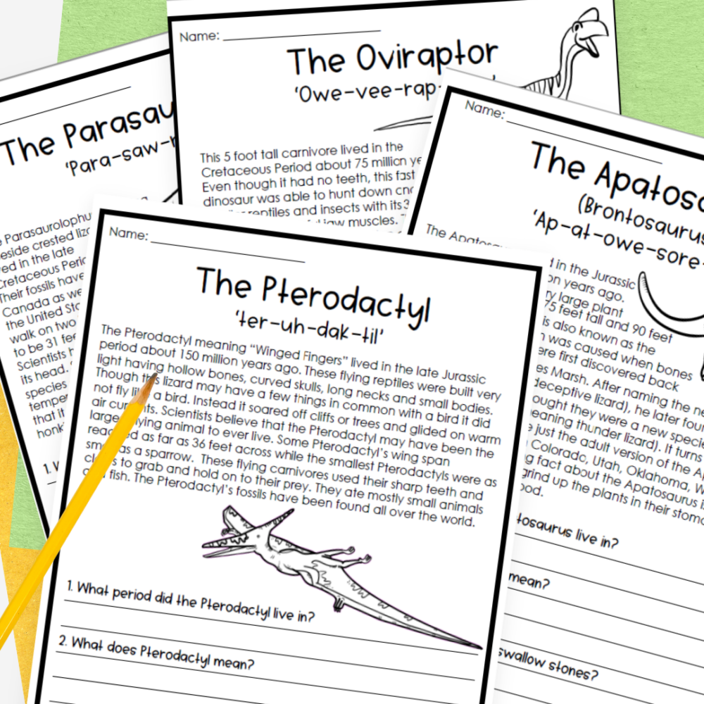 Dinosaur Reading Comprehension - Having Fun First