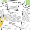 Dinosaur Reading Comprehension - Having Fun First