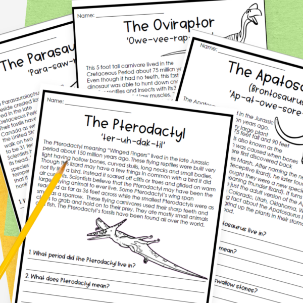 Dinosaur Reading Comprehension - Having Fun First