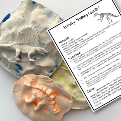 Dinosaur Reading Comprehension - Having Fun First