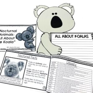 Koala Reading Passage Nonfiction Unit & Activities