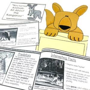 Kangaroo Lesson Craft & Activities - Having Fun First