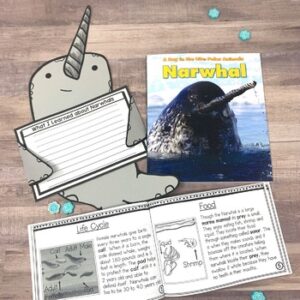 Narwhal Reading Comprehension Unit - Having Fun First