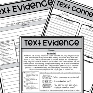 Blizzard Reading Comprehension Unit - Having Fun First