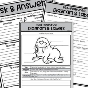 Walrus Reading Comprehension Unit - Having Fun First