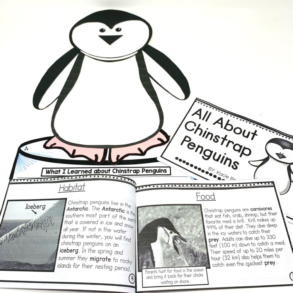 Teaching Text Features Glossary and Bold Print