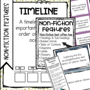 Michael Jordan Reading Comprehension Unit - Having Fun First