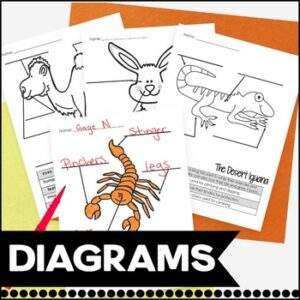 Nonfiction Desert Animals Unit - Having Fun First