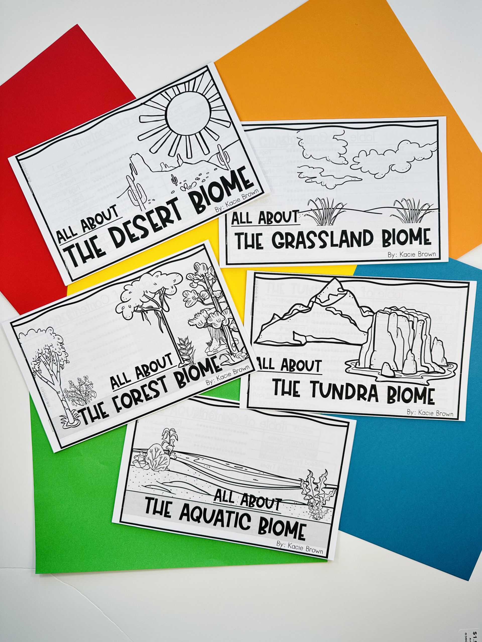 Having Fun First - Deepening Learning with a Habitats Unit